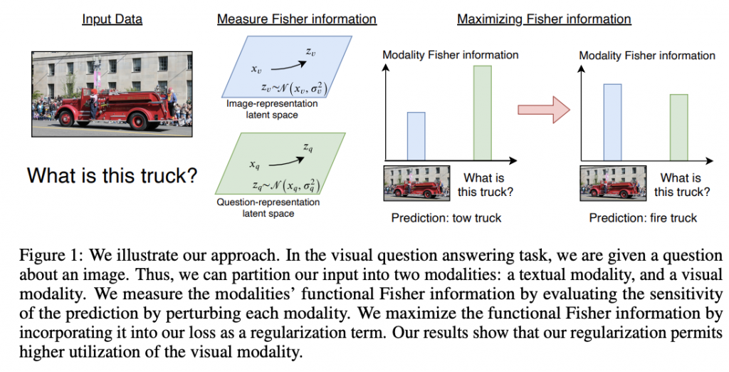 Removing Bias in Multi-modal Classifiers: Regularization by Maximizing Functional Entropies ...
