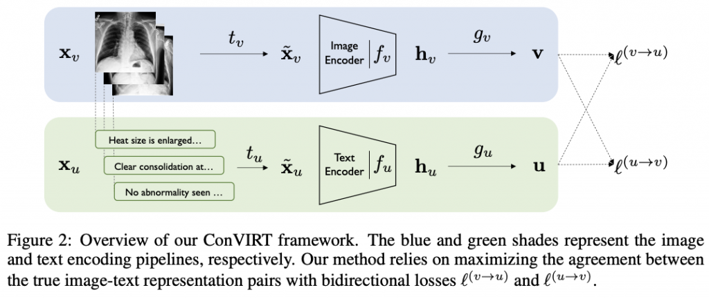 Contrastive Learning Of Medical Visual Representations From Paired ...