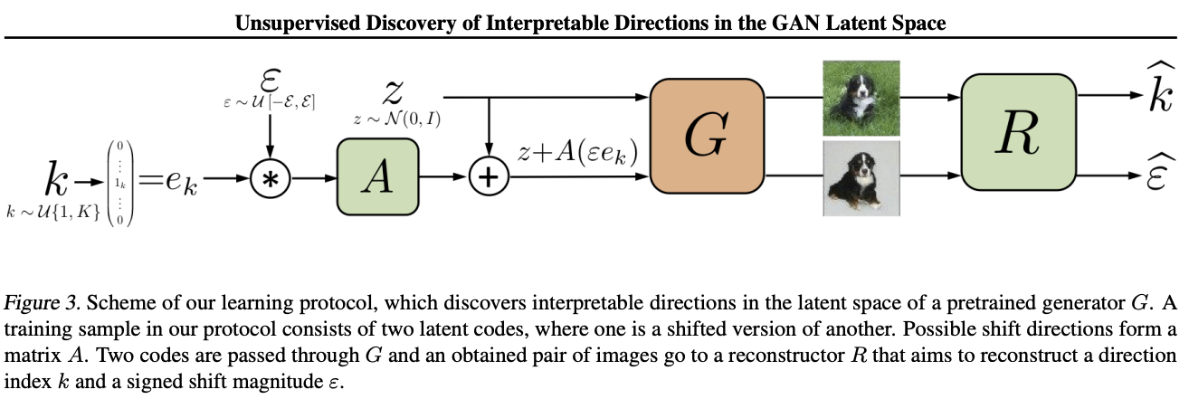 Unsupervised Discovery Of Interpretable Directions In The Gan Latent
